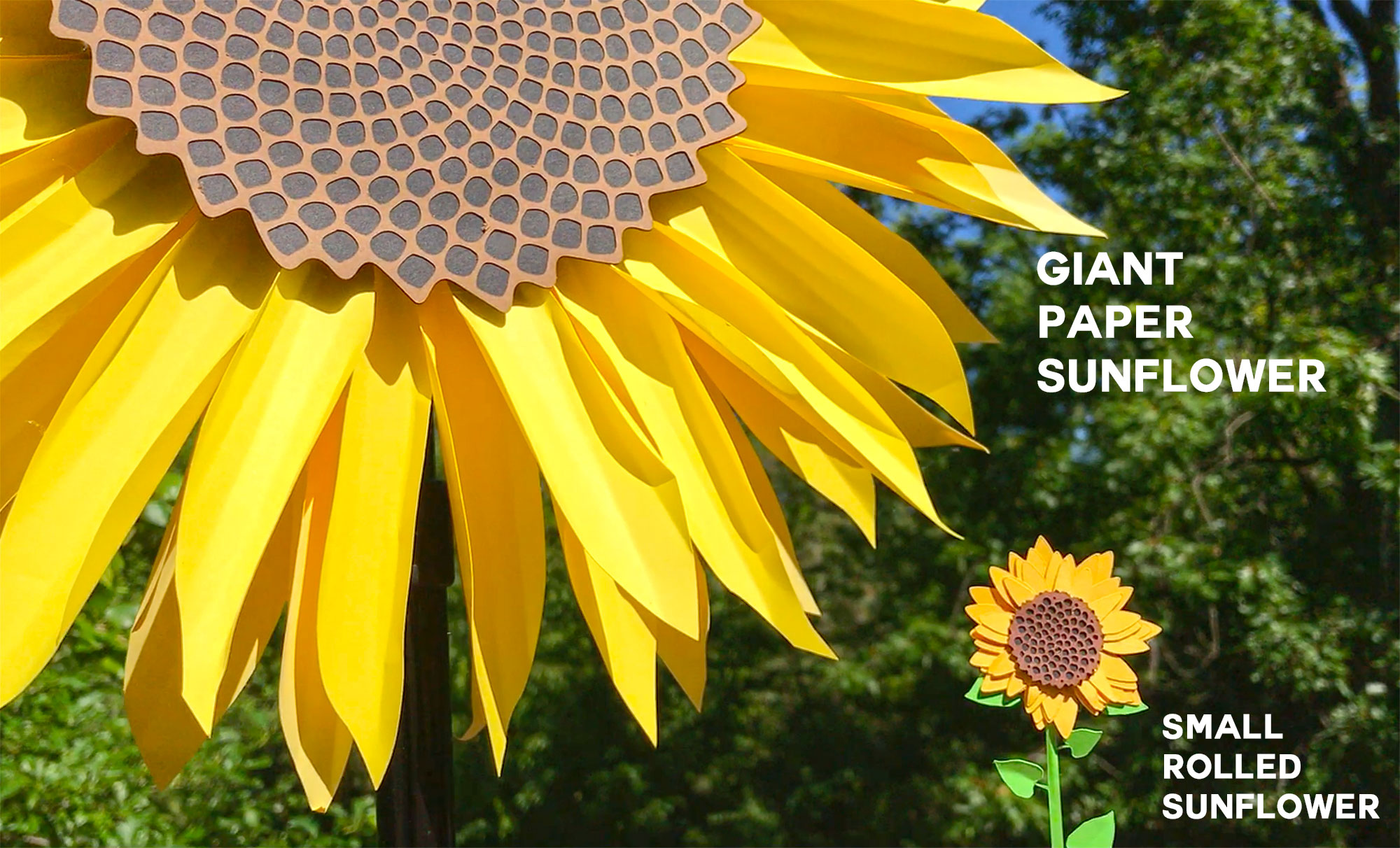 How to Make a Simple Rolled Paper Sunflower - Jennifer Maker