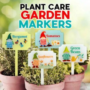 Canva Archives - Jennifer Maker