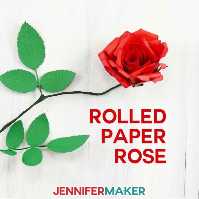 Rolled Paper Rose Tutorial - Fun & Realistic! - Jennifer Maker